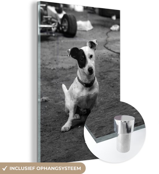 MuchoWow® Glasschilderij 40x60 cm - Schilderij acrylglas - Jack Russel ...