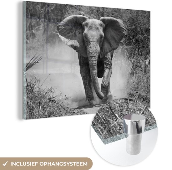 MuchoWow® Glasschilderij - Rennende olifant - zwart wit - 150x100 cm ...
