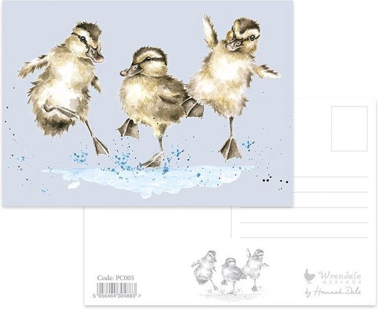 Wrendale Ansichtkaarten 6 stuks - 1 - Set met 6 leuke kaarten | bol