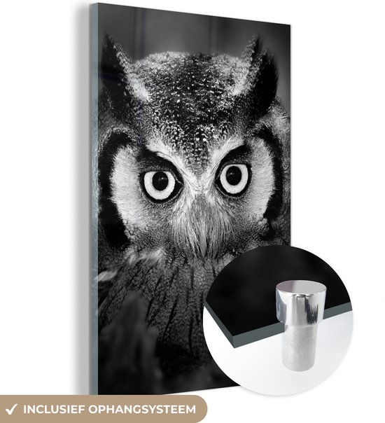 Glasschilderij - Foto op glas - Wilde dieren - Uil - Vogel - Zwart ...