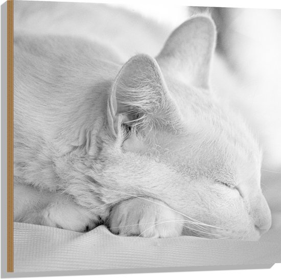 Hout - Slapende Kat (zwart- wit) - 80x80 cm - 9 mm dik - Foto op Hout ...