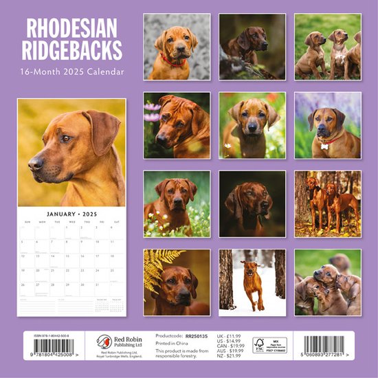 Rhodesian Ridgeback Kalender 2025 | bol