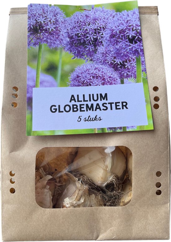 Globemaster - Allium bollen 5 stuks | bol
