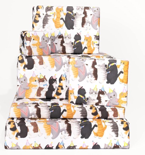 Cadeauverpakking 6 vellen Cat Conga Inpakpapier - cadeauverpakking voor ...