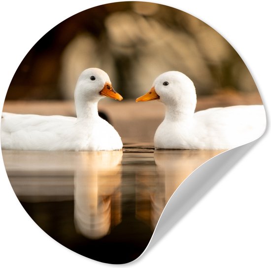 Behangcirkel - Eend - Wit - Dieren - Water - Zelfklevend behang - 50x50 ...