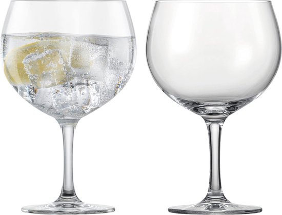 Gin Tonic Glas Set - Perfect voor Thuis en Professionele Bars | bol
