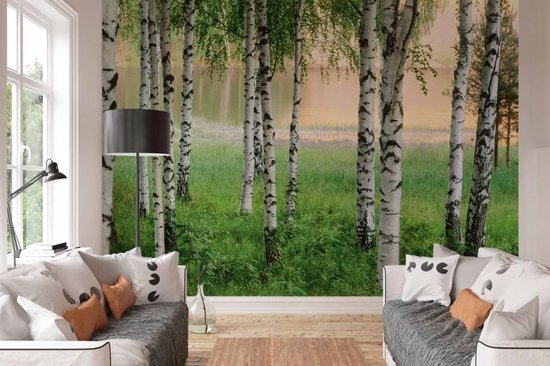 Bomen - Fotobehang 366 x 254 cm | bol