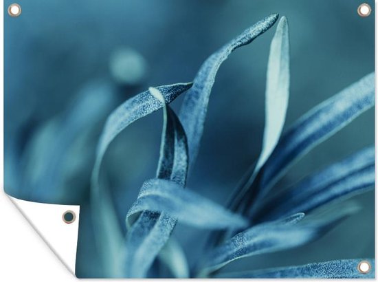 Tuin decoratie Rustgevend beeld van turquoise bladeren - 40x30 cm | bol.com