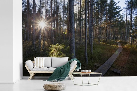 Behang - Fotobehang Zonnestralen schijnen door de bomen in het Finse ...