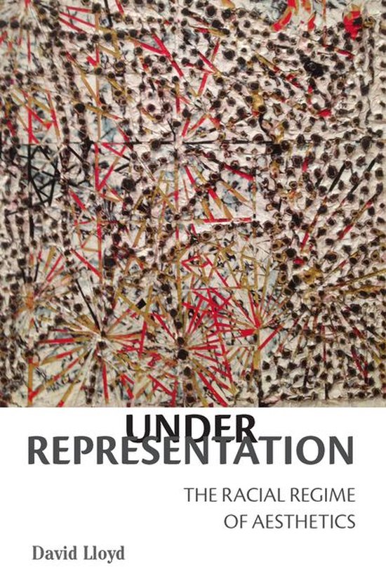 Under Representation (ebook), David Lloyd | 9780823282395 | Boeken ...
