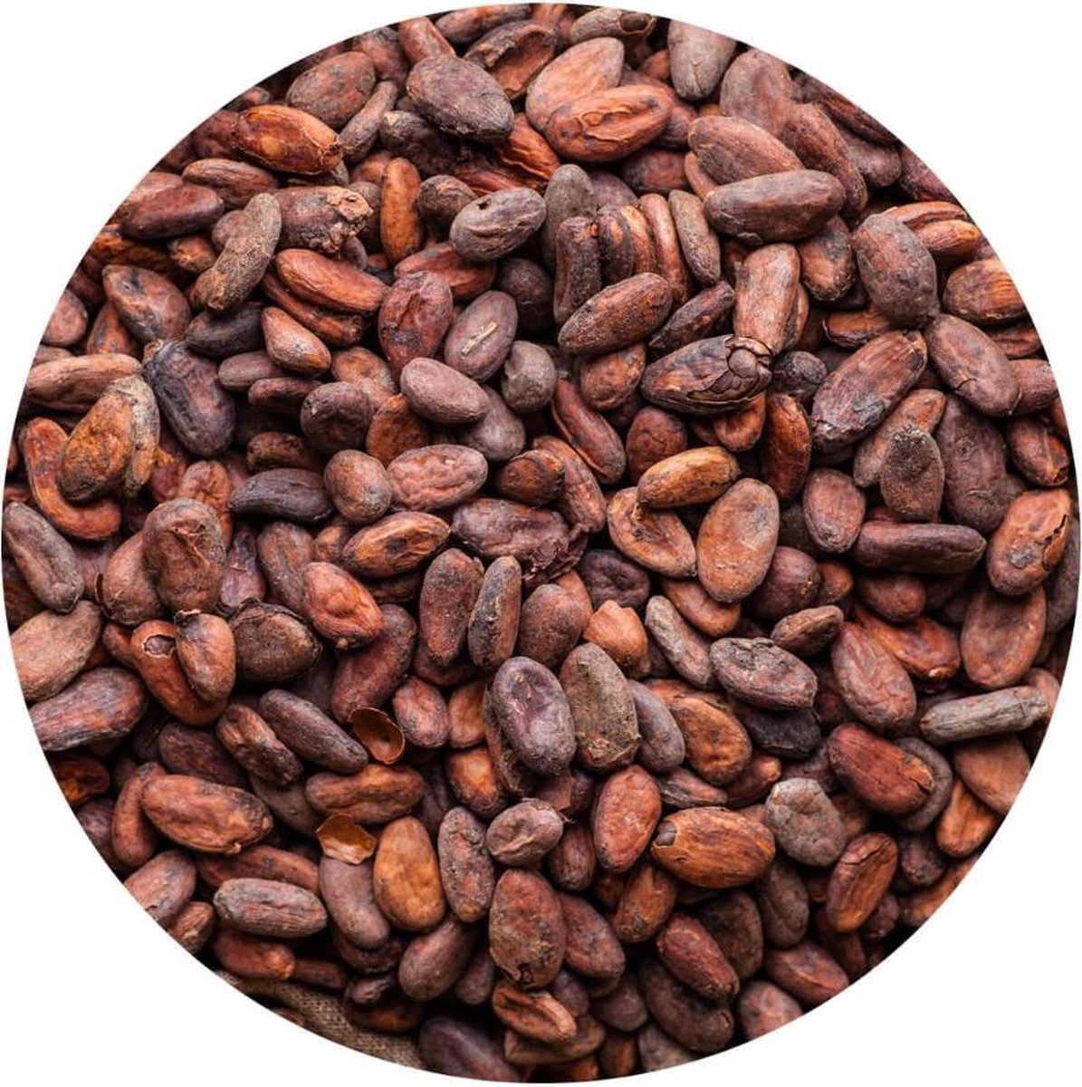 Cacaobonen Raw - 100 gram - Holyflavours - Biologisch gecertificeerd ...