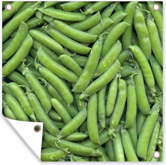 Tuin poster Een afbeelding volledig gevuld met groene peultjes ...