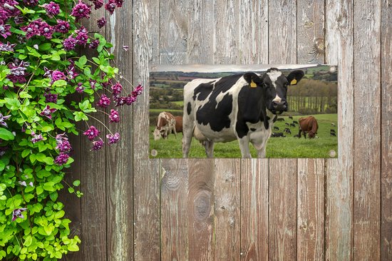 Poster de jardin Vaches - Etiquettes - Herbe - 80x40 cm - Décoration ...