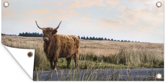 Décoration murale d'extérieur Scottish Highlander - Vache - Automne ...