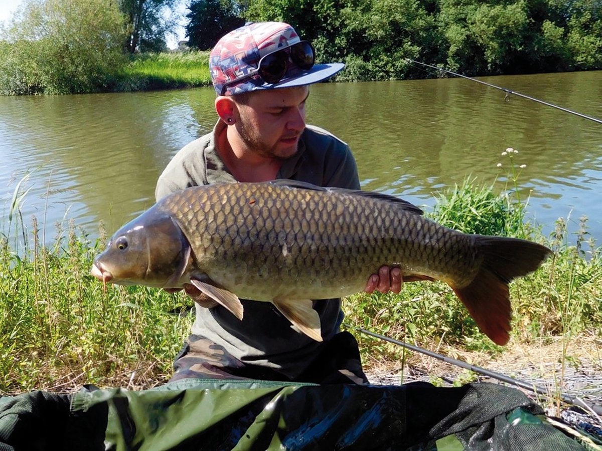 Arca Evil Carp 540 | bol