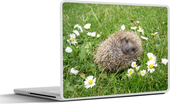 Laptop sticker - 14 inch - Egel - Gras - Bloemen - 32x5x23x5cm ...