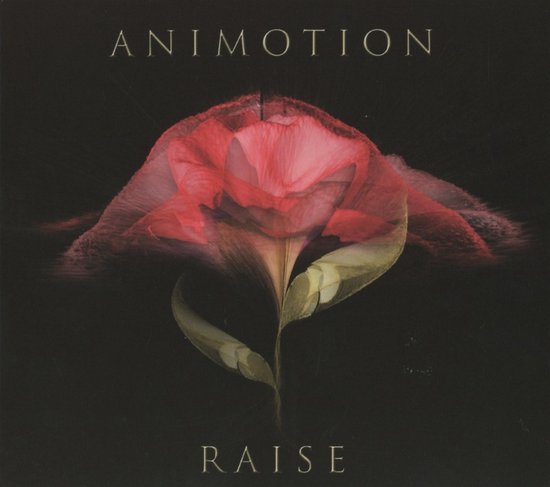 Animotion - Raise Your Expectations (CD), Animotion | CD (album ...