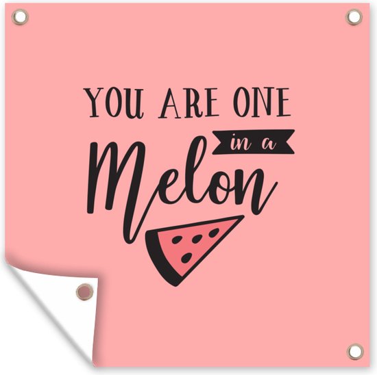 Tuinposters Quotes - You are one in a melon - Spreuken - 50x50 cm | bol.com
