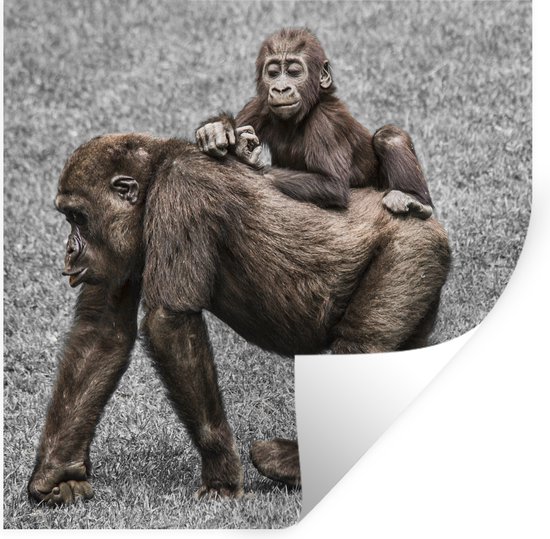 Muurstickers - Sticker Folie - Apen - Landschap - Vacht - 30x30 cm ...