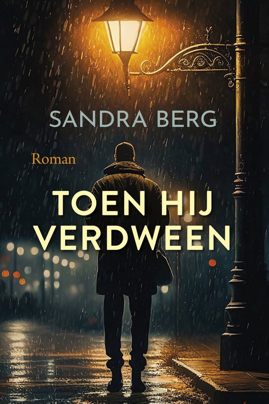 Toen hij verdween, Sandra Berg | 9789020553536 | Boeken | bol