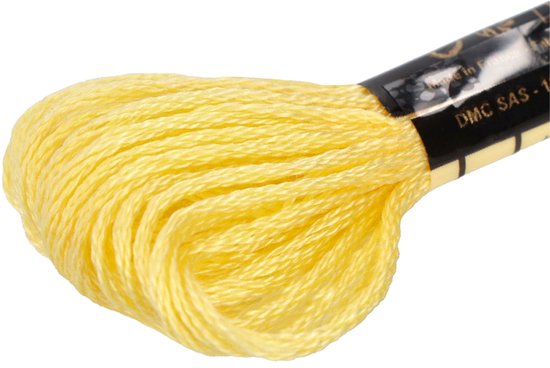 DMC Borduurgaren-727 Geel | bol