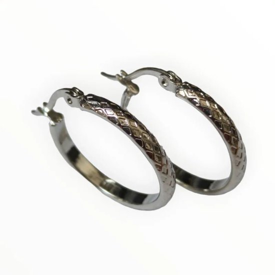 Aramat Jewels - Oorringen - Stalen Oorbel ringen - Zilverkleur ...