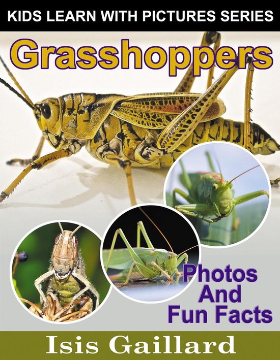 Kids Learn With Pictures 135 - Grasshoppers Photos and Fun Facts for ...