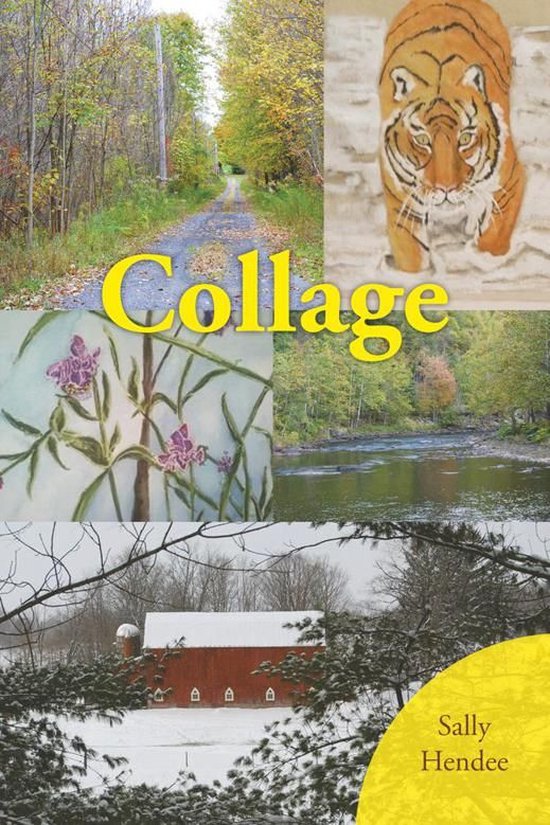 Collage (ebook), Sally Hendee | 9781481766692 | Boeken | bol.com