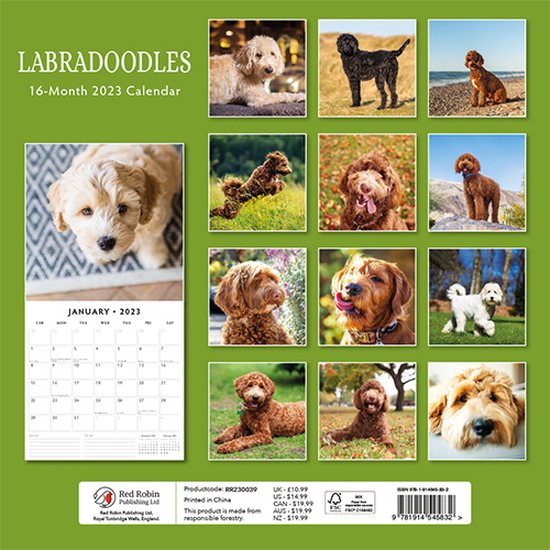 Labradoodle Kalender 2023 | bol.com