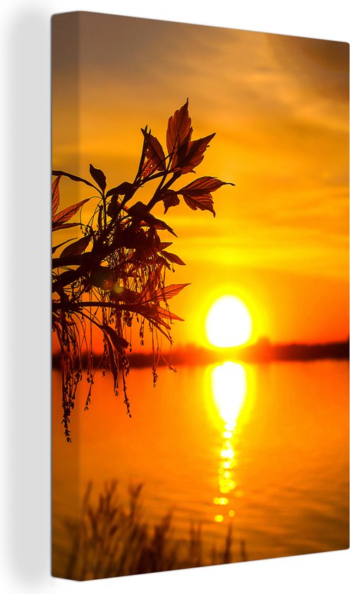 OneMillionCanvasses - Canvas - Zon - Water - Tak - Bladeren - Canvasdoek - 80x120 cm -... | bol