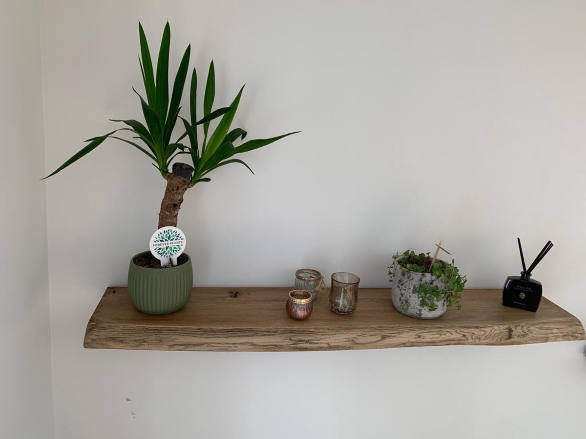 Wandplank Massief Eiken Hout - 80x20 - Castle Brown – Boomstam Plank ... Wandplank Massief Eiken Hout - 80x20 - Castle Brown – Boomstam Plank ...