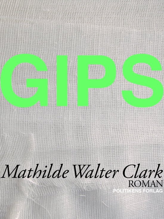 Gips (ebook), Mathilde Walter Clark | 9788740008364 | Boeken | bol