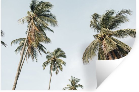 Muurstickers - Sticker Folie - Palmen - Zomer - Tropisch - 120x80 cm ...