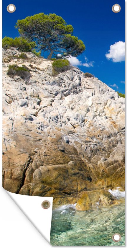 Tuinposter - Strand - Stenen - Zee - Water - Bomen - 30x60 cm ...