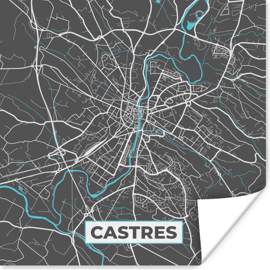 Poster Castres - Frankrijk - Stadskaart - Kaart - Plattegrond - 30x30 ...