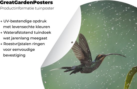 Affiche de jardin ronde Découpée Costa Rica - Colibri sous la pluie ...
