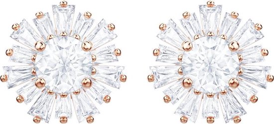 Swarovski 5459597 Oorbellen Sunshine rosekleurig | bol.com