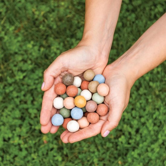 Blossombs Bloembommetjes Giftbox Mini - 4 Zaadbommetjes - Boeket - Bos ...