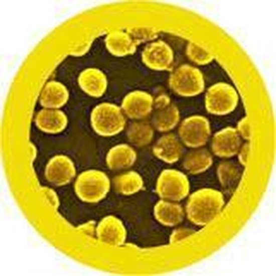 Giant Microbes MRSA bacterie - Pluche knuffel van 12-18 cm | bol