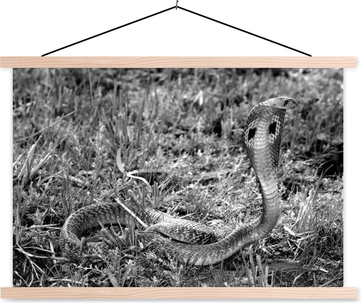 Cobra slang in het gras - zwart wit | bol.com