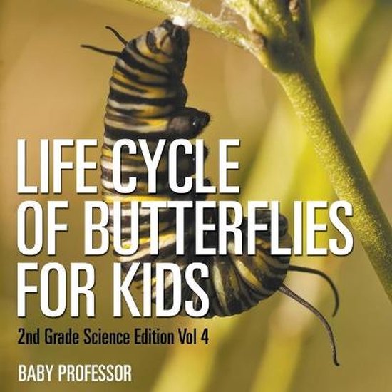 Life Cycle Of Butterflies for Kids 2nd Grade Science Edition Vol 4 ...