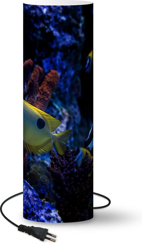 Lampe - Veilleuse - Lampe de table chambre - Poissons d'aquarium dans ...