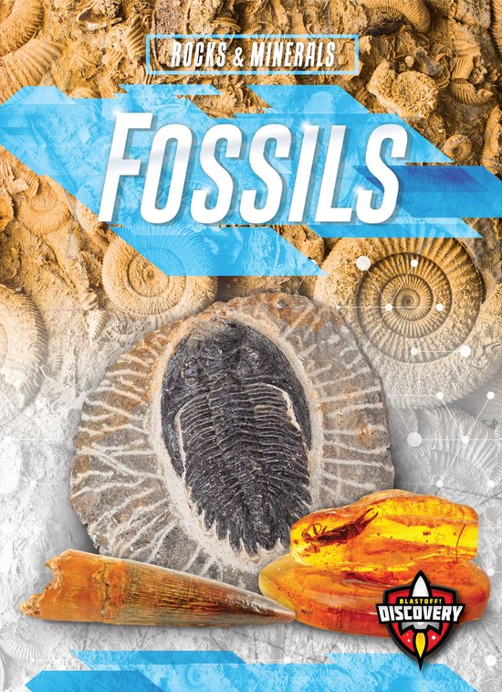 Rocks & Minerals - Fossils (ebook), Patrick Perish | 9781618916457 ...