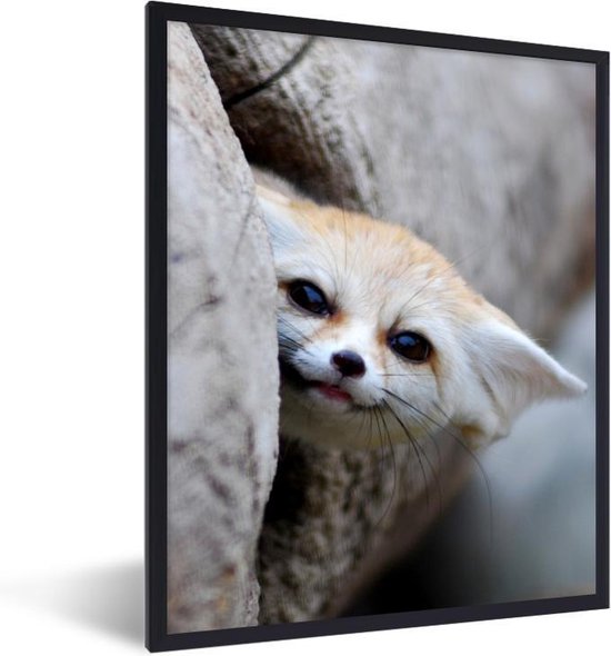 Fotolijst incl. Poster - Vos - Boomstam - Dieren - 60x80 cm - Posterlijst | bol.com