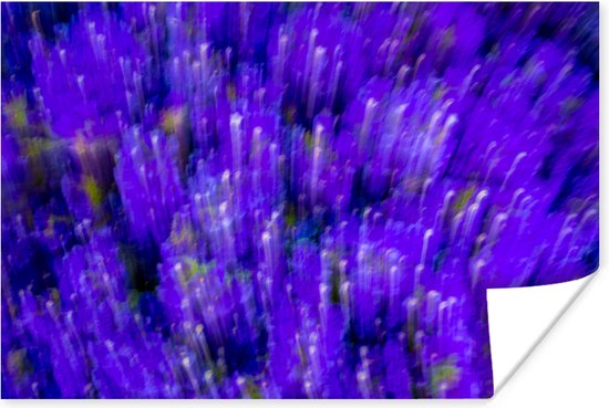 Une image floue du poster fleurs statice 60x40 cm - Tirage photo sur ...