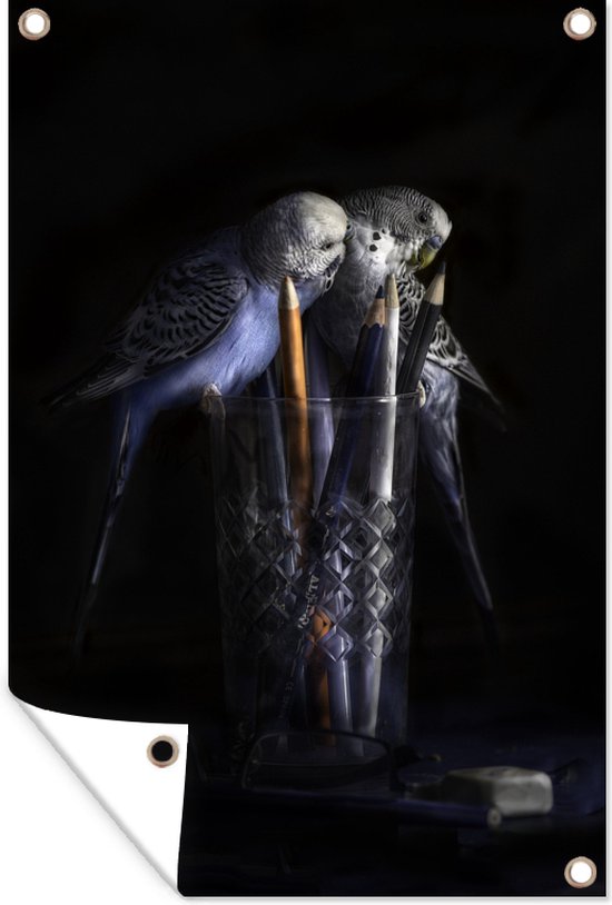 Tuinposter - Tuindoek - Tuinposters buiten - Parkieten in een glas met ...