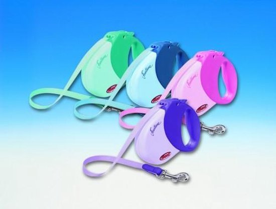 Flexi Funtime - Riem - Tape - Roze - S - 5 m | bol.com