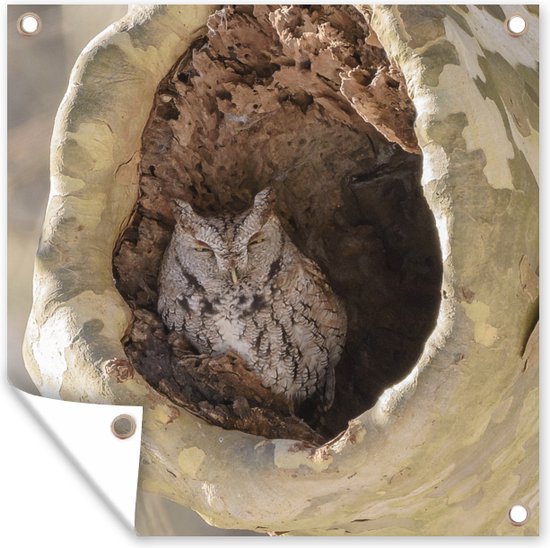 Tuindoek Steenuil aan het uitrusten in een holle boom - 100x100 cm ...