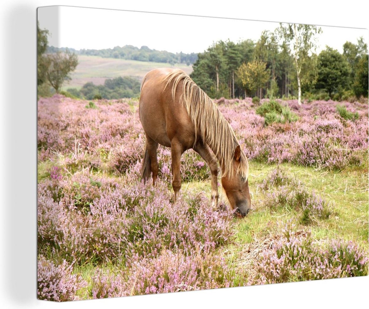 Toile de cheval Morgan marron pâturage 2cm | bol.com