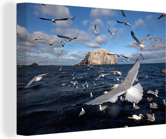 Canvas schilderij 140x90 cm - Wanddecoratie Zwerm jan-van-gent boven de Noordzee -... | bol